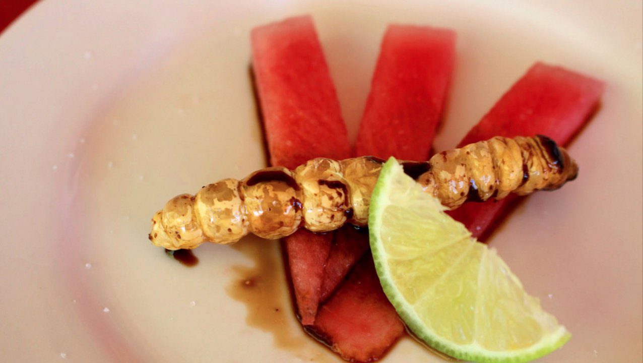 Insekten essen: Arte zeigt, wie gesund und lecker die Krabbeltiere sein ...